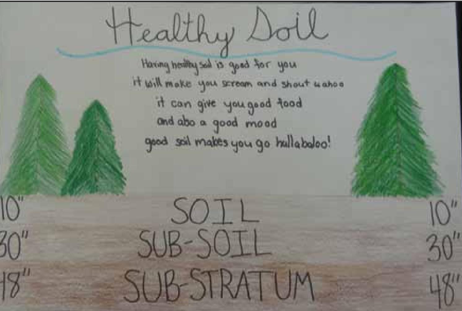 Limerick Poster Winners | Ellsworth County Independent Reporter