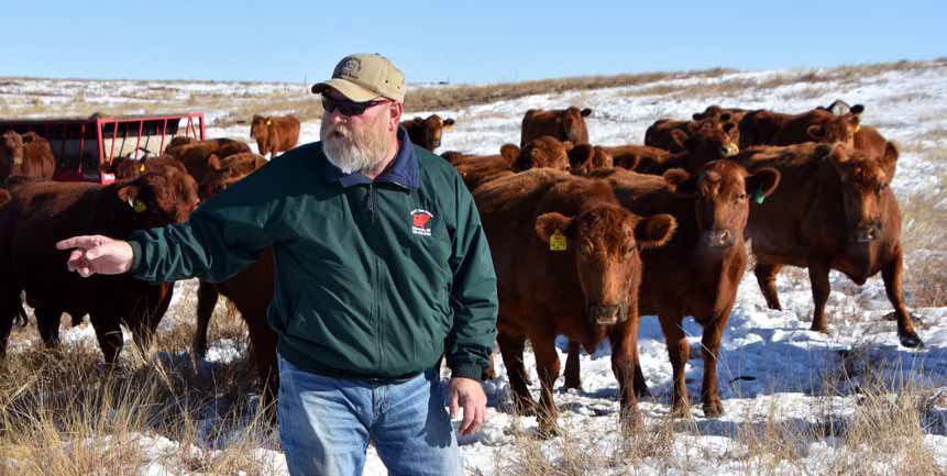 Pflughoeft earns Grassland Award | Ellsworth County Independent Reporter
